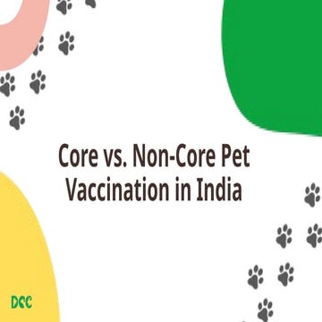 Core vs. Non-Core Vaccination in India.pptx