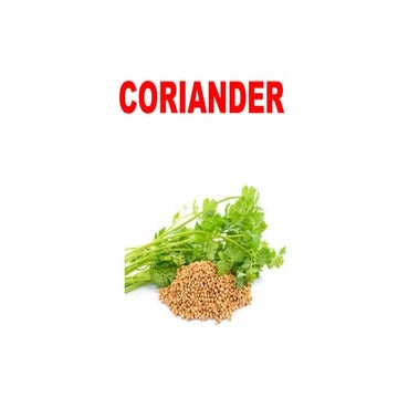 Coriander.pptx | Agriculture | Industries