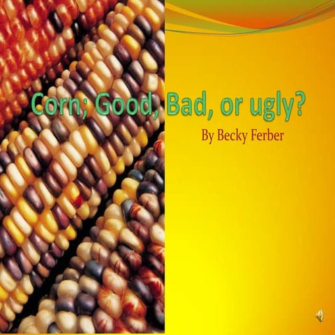 Corn! | PDF