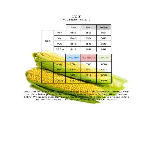 Corn Futures and Options Daily | PDF