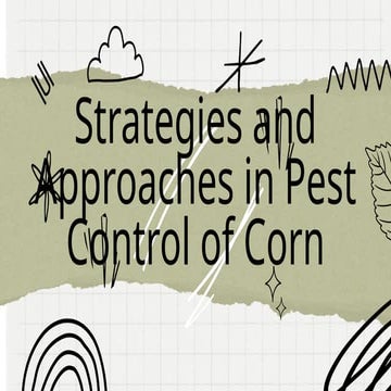 Strategies and Approaches in Pest Control of Corn.pptx