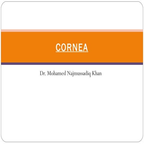 Cornea | PPT