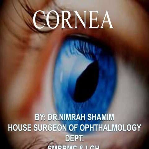 Layers of cornea | PPTX