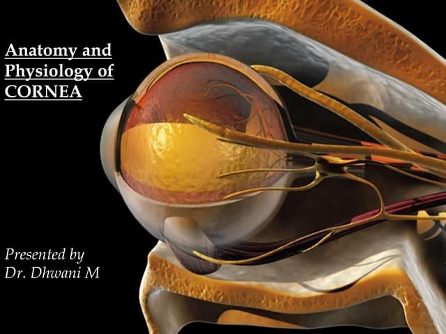 Anatomy of cornea | PPTX