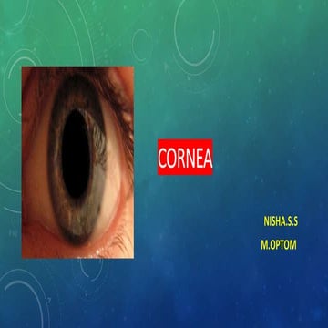 CORNEA.pptx