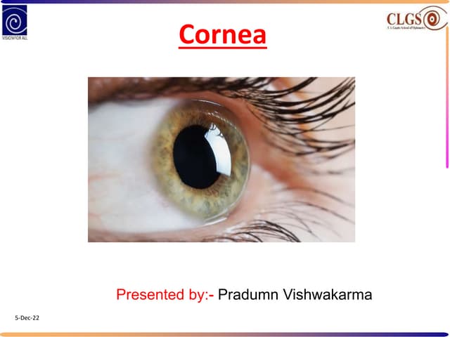 Anatomy of cornea | PPTX