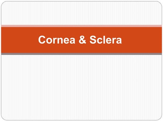 15 Objective Structured Clinical Examination (OSCE) Cornea.docx