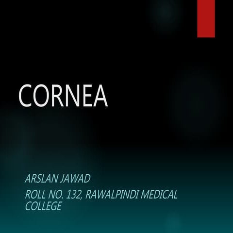 Cornea Basic | PPT