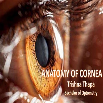 Anatomy of cornea and sclera | PPTX
