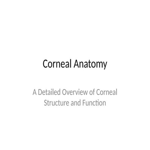 Corneal_Anatomy_Presentation.pptx....... | PPT