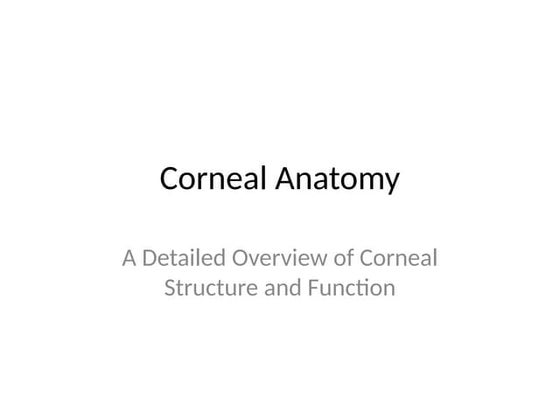 Human_Cornea_Presentation and its functions .pptx