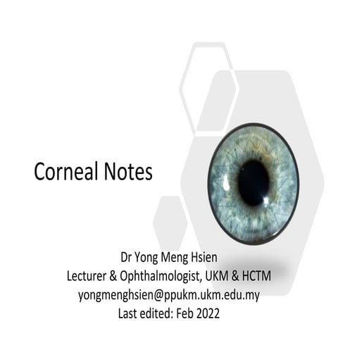 Cornea: Notes | PPTX