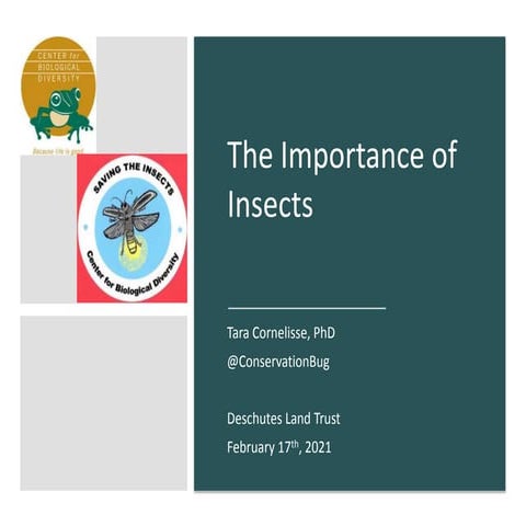 The Importance of Insects | PPTX