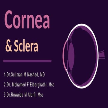 corneal,scleral and episcleral diseases.pptx