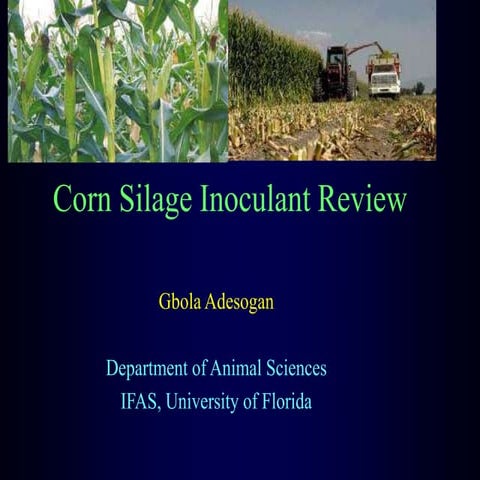 Silage | PPTX