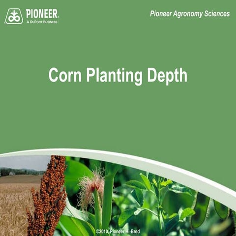 Corn planting depth | PDF