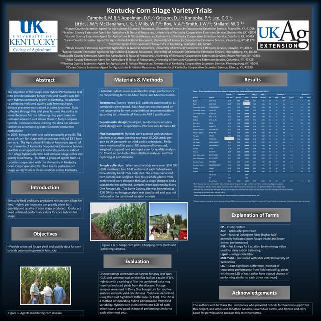 Corn poster | PDF