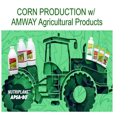 CORN PRODUCTION using Nutriplant and Apsa80.pptx