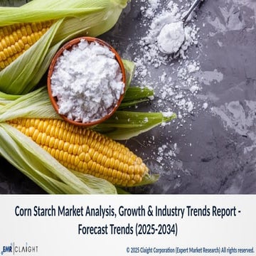 Corn Starch Market Share, Size, Trends & Growth Report (2025-2034) | PPTX