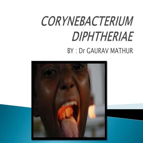 CORNYBACTERIUM.pptx