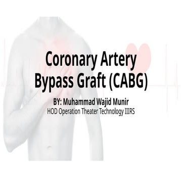 ICD-10-PCS Coding Guidelines for Coronary Arterial Bypass Procedures | PDF