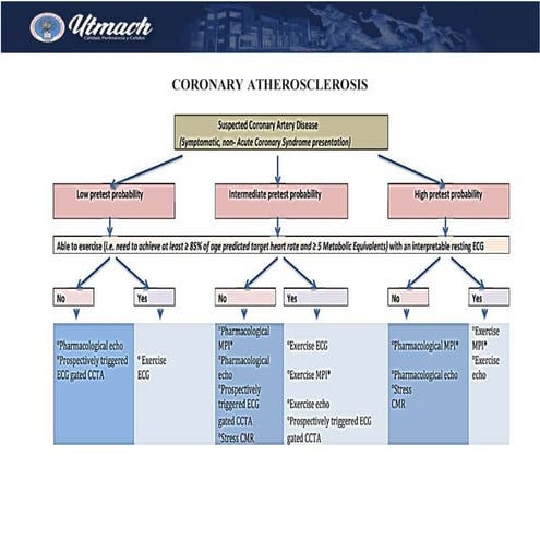 Coronary atherosclerosis algorithm | PPT