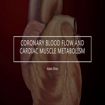 Coronary Blood Flow Ppt
