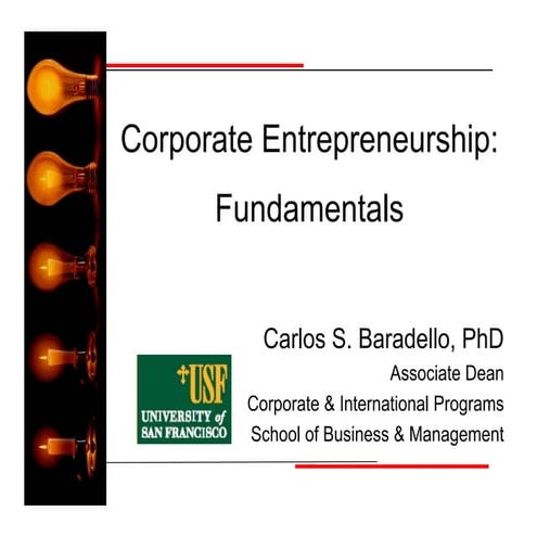 Dimensions of Innovation in Entrepreneurship | PPTX