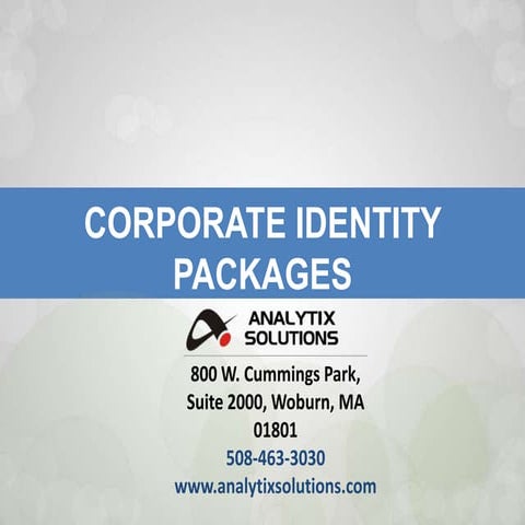 Corporate Identity packages | PPT