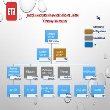 Corporate Organogram and a detailed summary of management reporting ...
