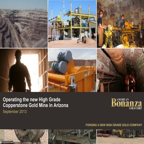 American Bonanza | PDF