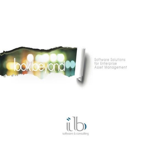 IB Software & Consulting in slides | PDF