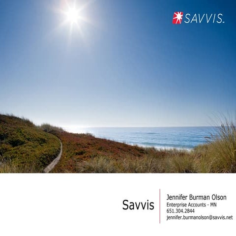 Corporate Presentation Savvis | PPT