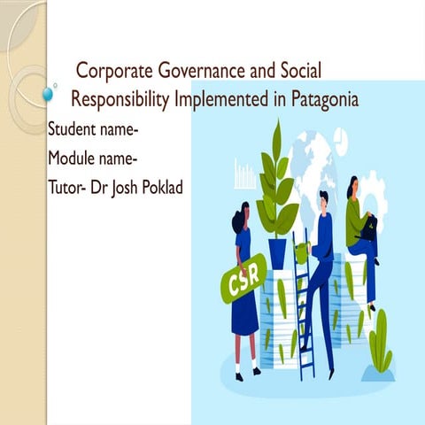 Patagonia: Case Analysis | PPT