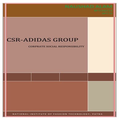 adidas Group- Management, Organizational Structure and CSR Analysis | DOCX