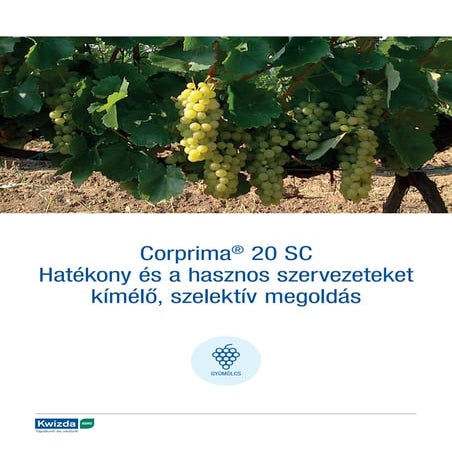 Corprima leaflet a4 02 web | PDF