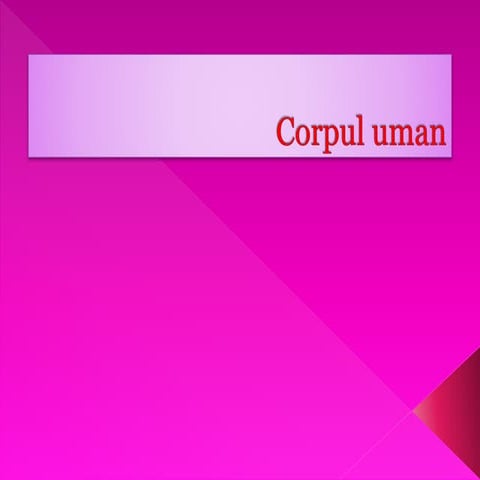 corpul uman | PPTX