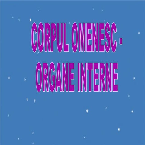 Corpul omenesc organe interne | PPT