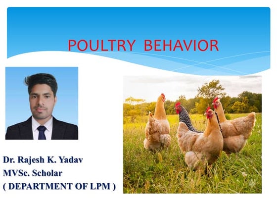 Animal behaviour ,,,,,,,,,,.................................ppt