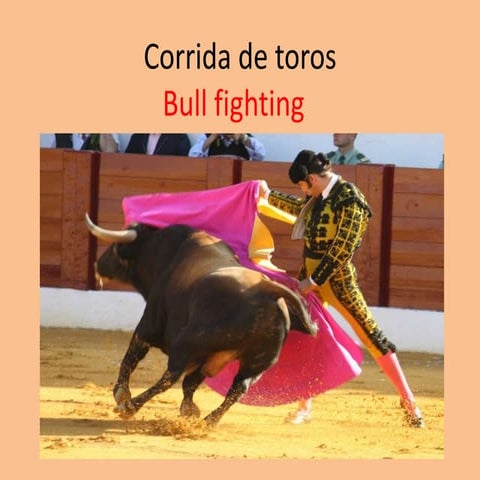 Corrida de toros | PPT