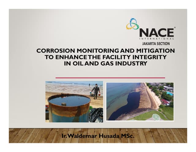 ECE corrosion software | PDF