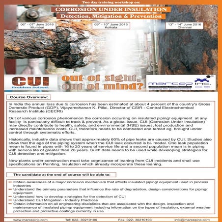 Corrosion under insulation detection, mitigation & prevention training ...