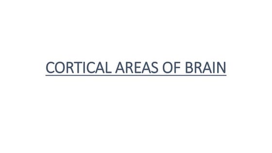 Lobe & Cortical Area (Pratical) | PDF
