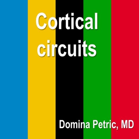 Cortical circuits | PPSX | Brain and Nervous System Disorders ...