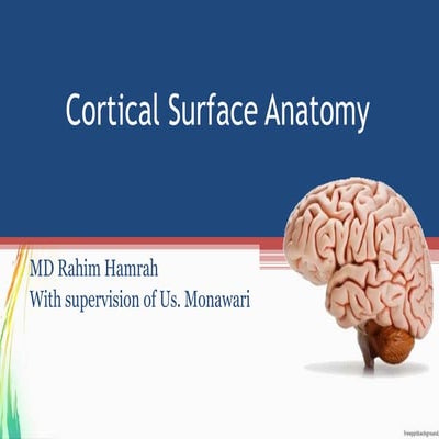 Cortical surface anatomy | PPTX