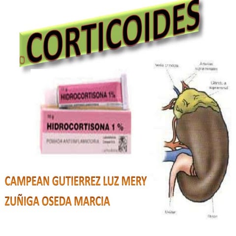 CORTICOIDES Usos y Funciones y clasificacion | PPTX