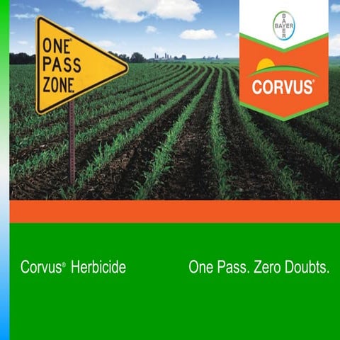 Corvus Corn Herbicide - 2012 Brand Presentation | PPT | Agriculture | Industries