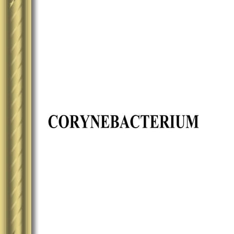 CORYNEBACTERIUM.by Dr munir KGMC peshawarpesha | PPT