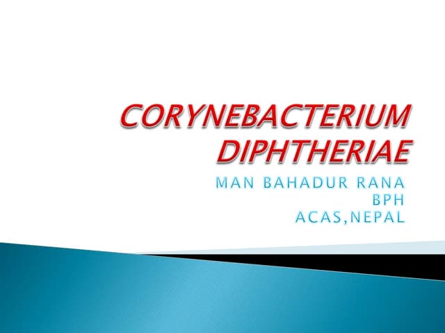 Corynebacterium diptheriae | PPTX