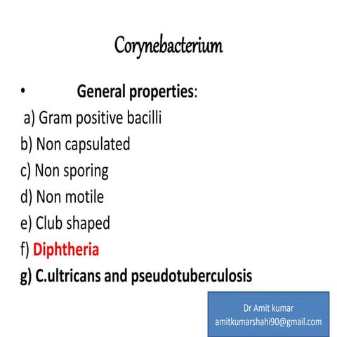 Corynebacterium diptheriae | PPT
